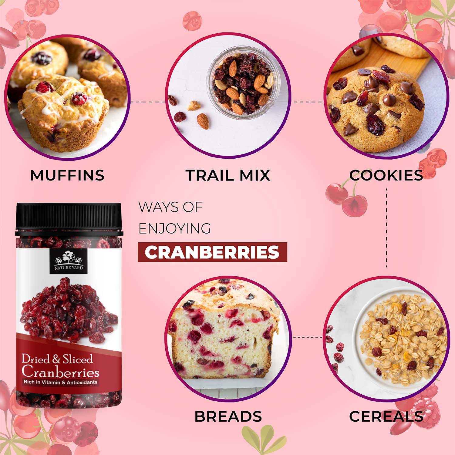 Organic American Dried Cranberry dry fruit - Naturally Dehydrated Real ...