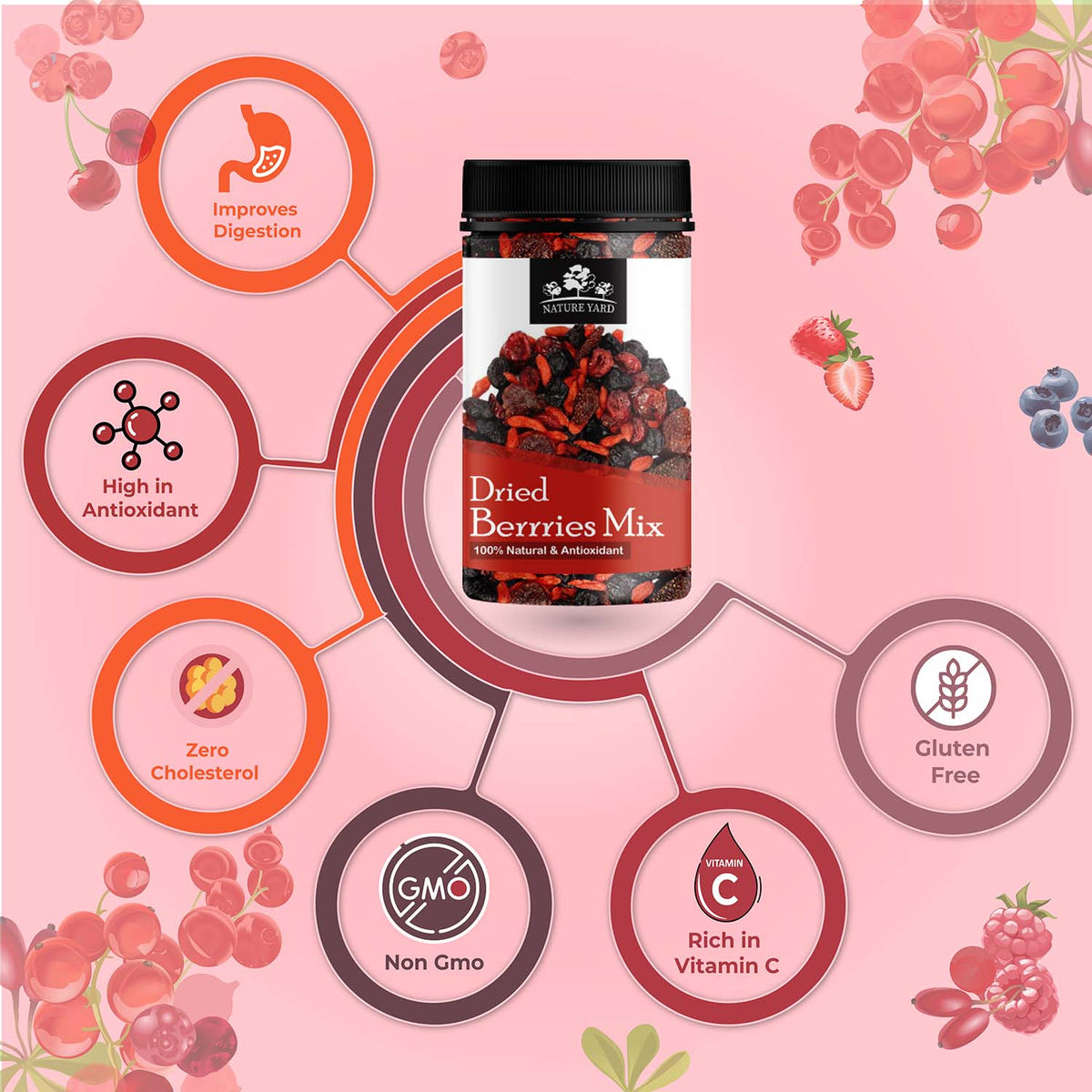 Berries mix - Mix of Dried Cranberry, Blueberry, Goji berry ...